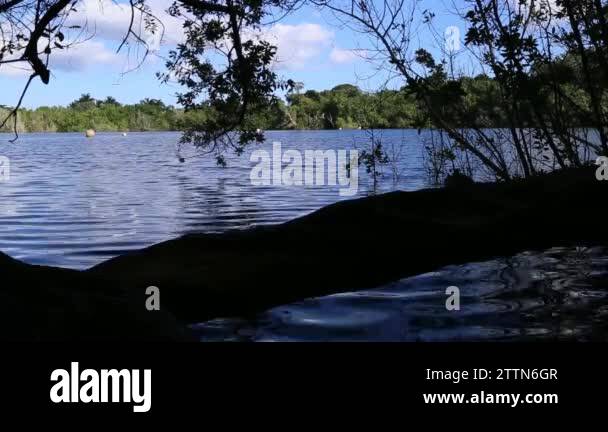 cenote blue bacalar (lagoon of the seven colors) Quintana Roo Mexico ...