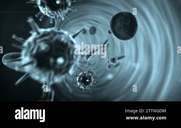 coronavirus in the blood, inside the blood vessel, erythrocytes and ...