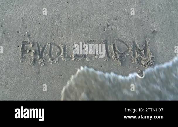 Ocean evolution Stock Videos & Footage - HD and 4K Video Clips - Alamy