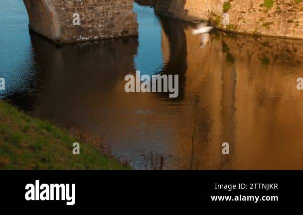 Leeds castle moat kent england Stock Videos & Footage - HD and 4K Video ...