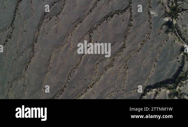 Natural textures in nature Stock Videos & Footage - HD and 4K Video ...