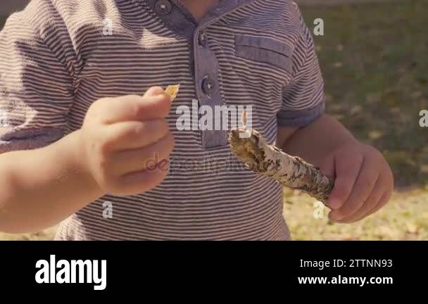 Boy stick Stock Videos & Footage - HD and 4K Video Clips - Alamy