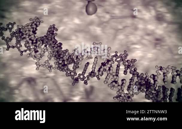 DNA close-up, DNA Molecule Model, DNA Strands, DNA animation Stock ...