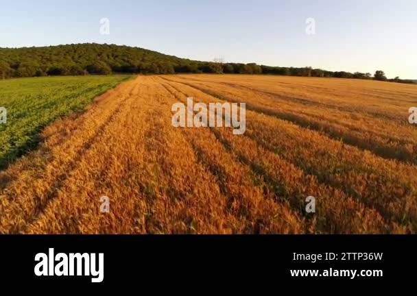 Landscape in motion aerial view Stock Videos & Footage - HD and 4K ...