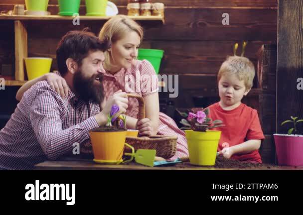 Protect flower Stock Videos & Footage - HD and 4K Video Clips - Alamy