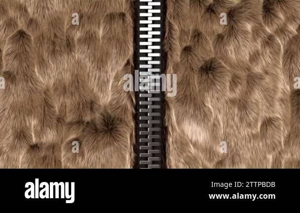 Unzipping a Zipper, Fur Coat Option. 3d animation, 4K Stock Video ...