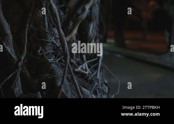 Scary sinister street scene Stock Videos & Footage - HD and 4K Video ...