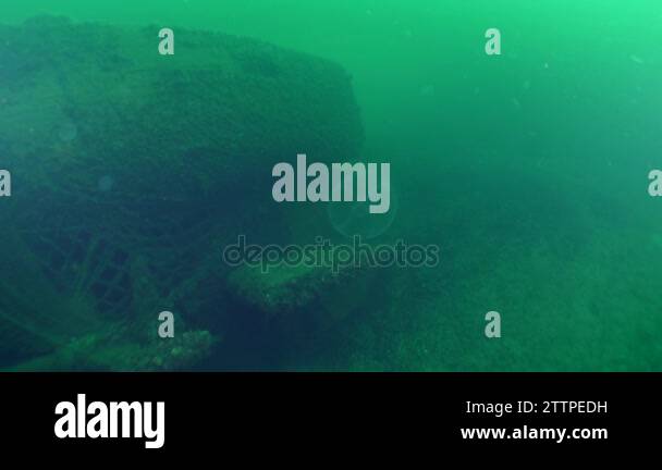 Sunken submarine Stock Videos & Footage - HD and 4K Video Clips - Alamy