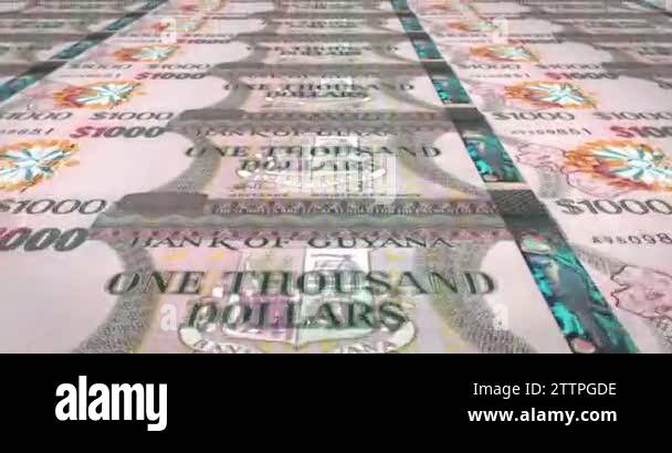 One guyana Stock Videos & Footage - HD and 4K Video Clips - Alamy