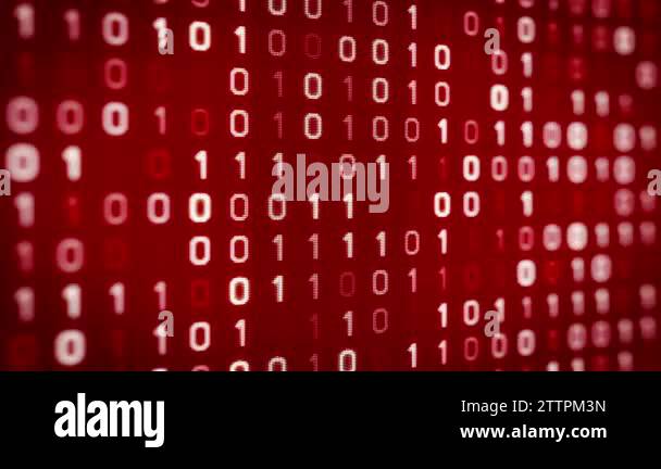 Technology red background with animated binary code on digital screen. Seamless loop. More color ...