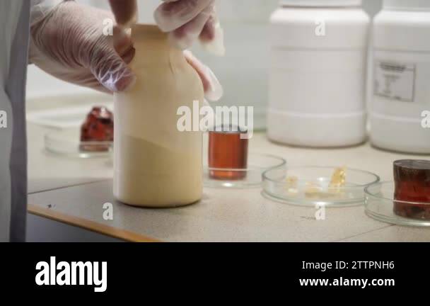 Researcher prepares to conduct chemical experiment in laboratory ...