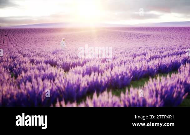 Astronaut with butterflies in lavender field. concept of future ...