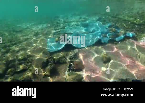 Egyptian washing egypt Stock Videos & Footage - HD and 4K Video Clips ...