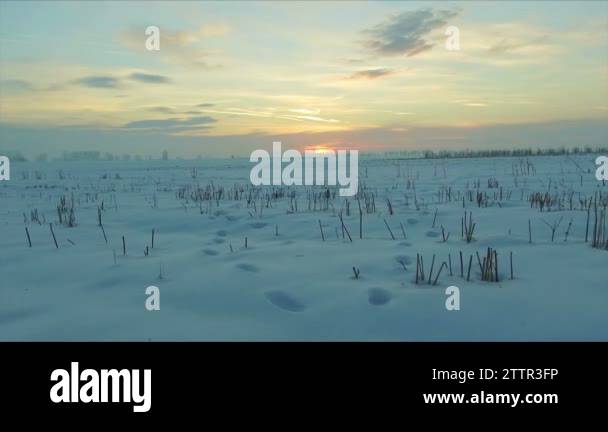 At sunset flying over a field of snow with human and animal traces in ...