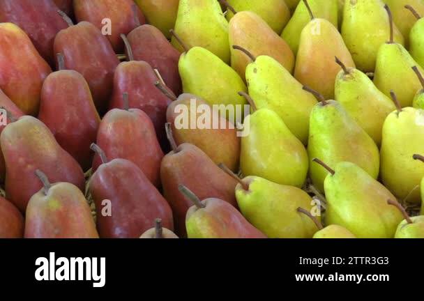 Old pear variety Stock Videos & Footage - HD and 4K Video Clips - Alamy