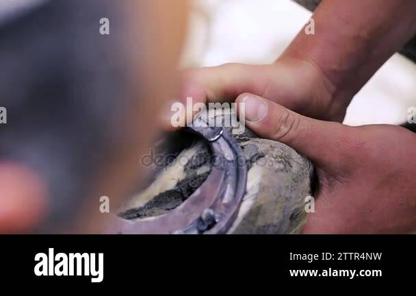 trimming, cleaning, shaping and cutting the excess sole tissue off the ...