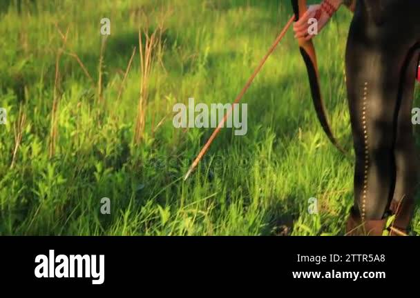 Female ginger hair archer shooting targets with her bow and arrow with ...