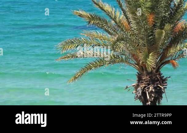 Coco beach hi Stock Videos & Footage - HD and 4K Video Clips - Alamy