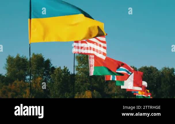 Flags of different states sway on wind.Lots of flags of different ...