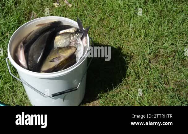 Catching air Stock Videos & Footage - HD and 4K Video Clips - Alamy