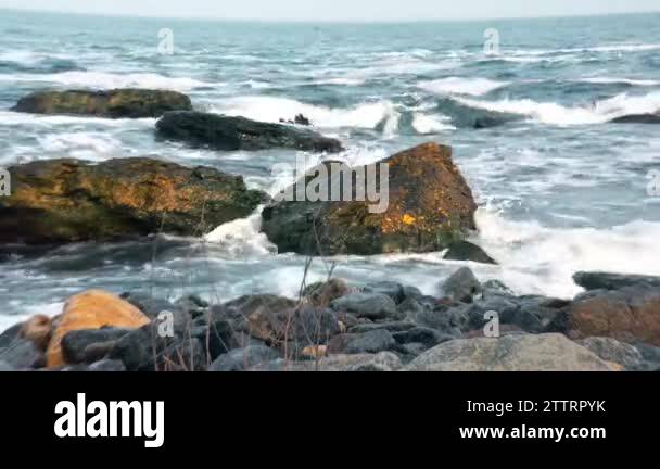 Wave scallops Stock Videos & Footage - HD and 4K Video Clips - Alamy