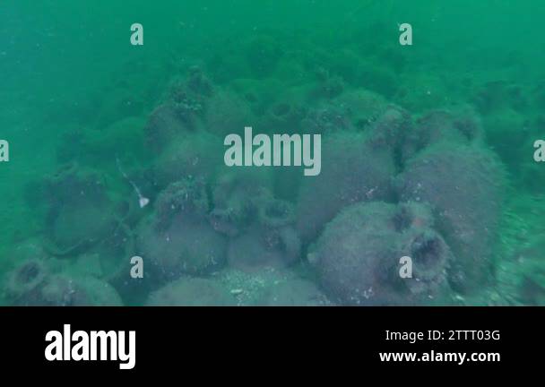 Underwater archeology: ancient Greek amphoras on the seabed Stock Video ...