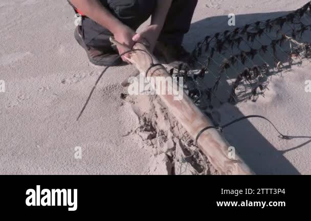 Broken lift Stock Videos & Footage - HD and 4K Video Clips - Alamy