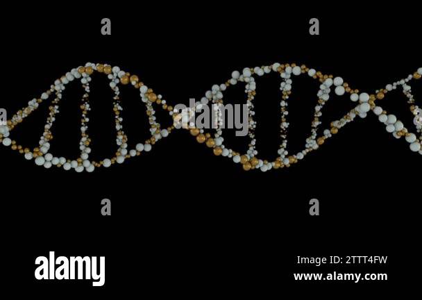 Animated DNA chain model. 3D rendering Stock Video Footage - Alamy