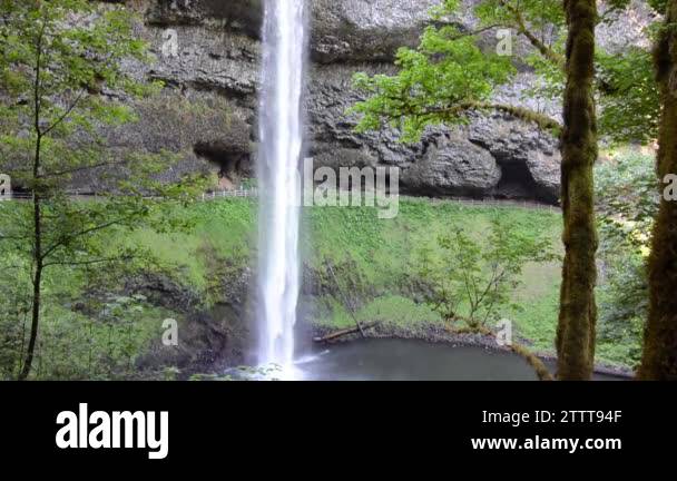 Silver forest trail Stock Videos & Footage - HD and 4K Video Clips - Alamy