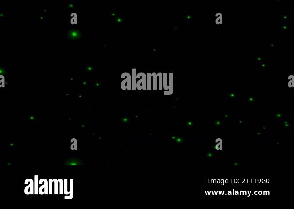 Fireflies green light against black background for overlay vdo design ...