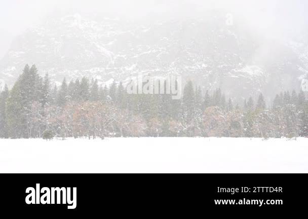 Winter heavy snow fall Stock Videos & Footage - HD and 4K Video Clips ...