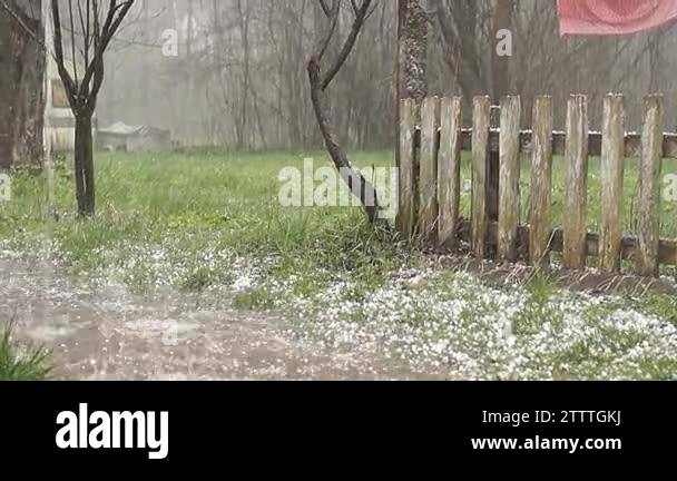 Rural landscape. From the sky hail falls and bounces off the grass ...