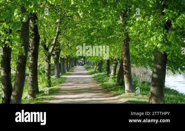 Summer stroll through green park Stock Videos & Footage - HD and 4K ...