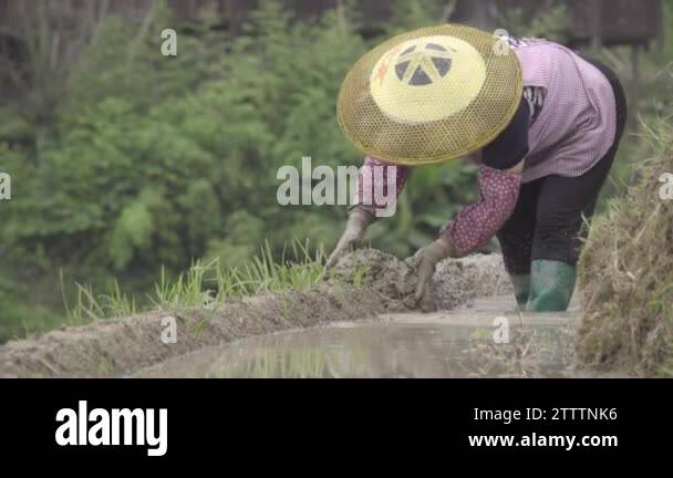 Wearing his typical hat Stock Videos & Footage - HD and 4K Video Clips ...