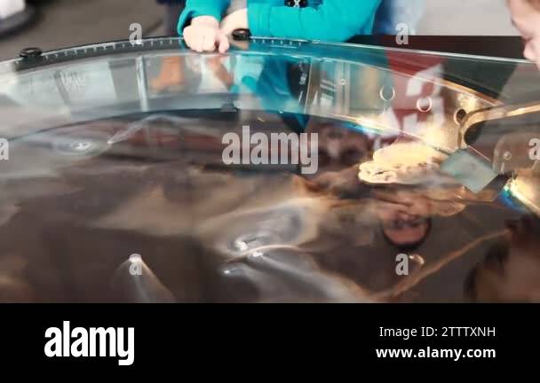 Museum science laboratory Stock Videos & Footage - HD and 4K Video ...