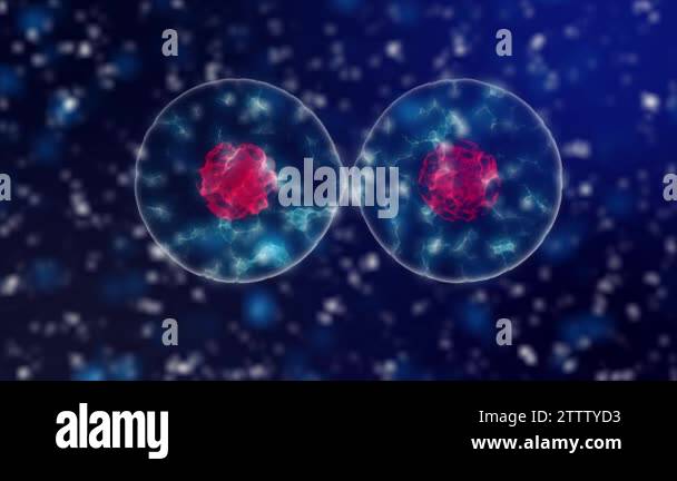 Cytoplasm microscope Stock Videos & Footage - HD and 4K Video Clips - Alamy