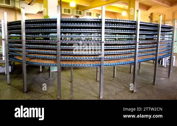 Bakery assembly line conveyor Stock Videos & Footage - HD and 4K Video ...
