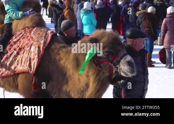 Children and camel rides Stock Videos & Footage - HD and 4K Video Clips ...