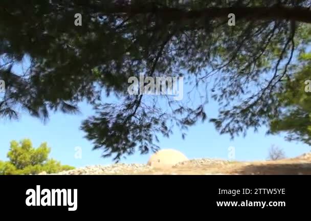 Sounds of cicadas Stock Videos & Footage - HD and 4K Video Clips - Alamy