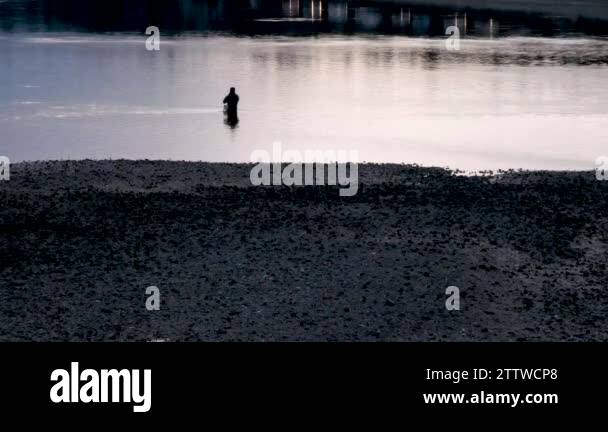 Waders in shallow water Stock Videos & Footage - HD and 4K Video Clips ...