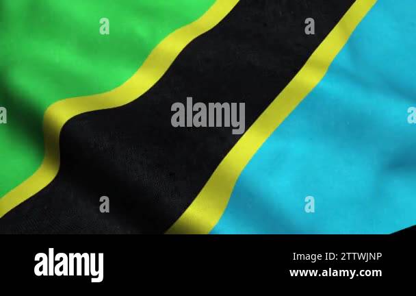 Tanzania Flag Seamless Looping Waving Animation Stock Video Footage - Alamy