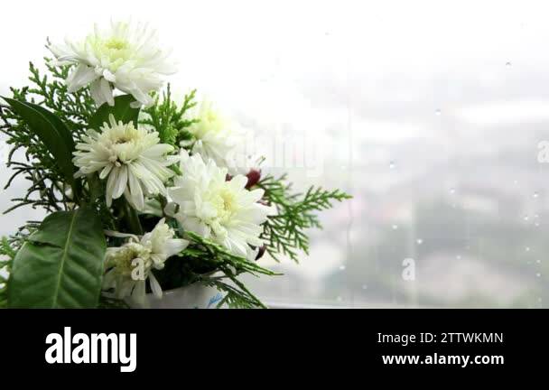 Rain falling down outside window Stock Videos & Footage - HD and 4K ...