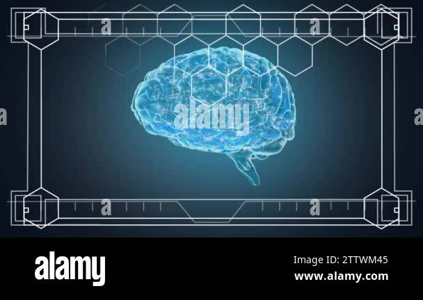 Digital composite of translucent brain rotating while animated screen is being created and ...
