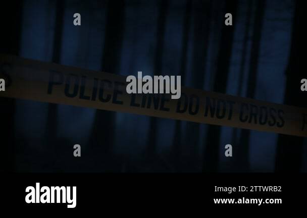 Crime Scene Police Tape Loop 01 - Seamless loop of crime scene police ...