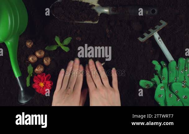 The concept and design has been created by me Stock Video Footage - Alamy