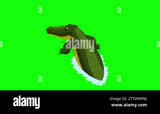 Crocodile Attacks Back View. Animated Motion Graphic Isolated on Green ...