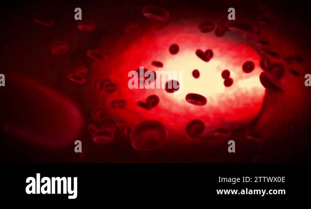 3D rendering red blood cells animation in an artery, flow inside body ...