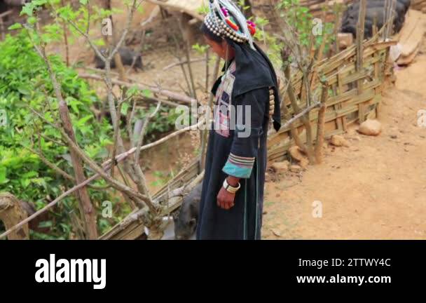 Tribal indigenous Stock Videos & Footage - HD and 4K Video Clips - Alamy