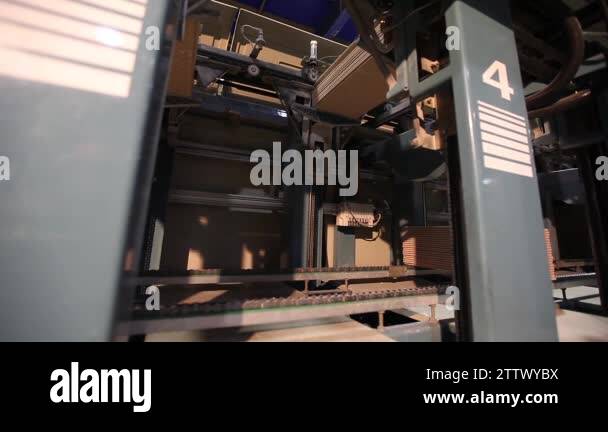 Automatic packing of products in boxes on the conveyor, close-up ...