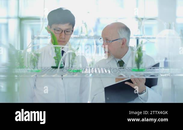 Lab findings Stock Videos & Footage - HD and 4K Video Clips - Alamy